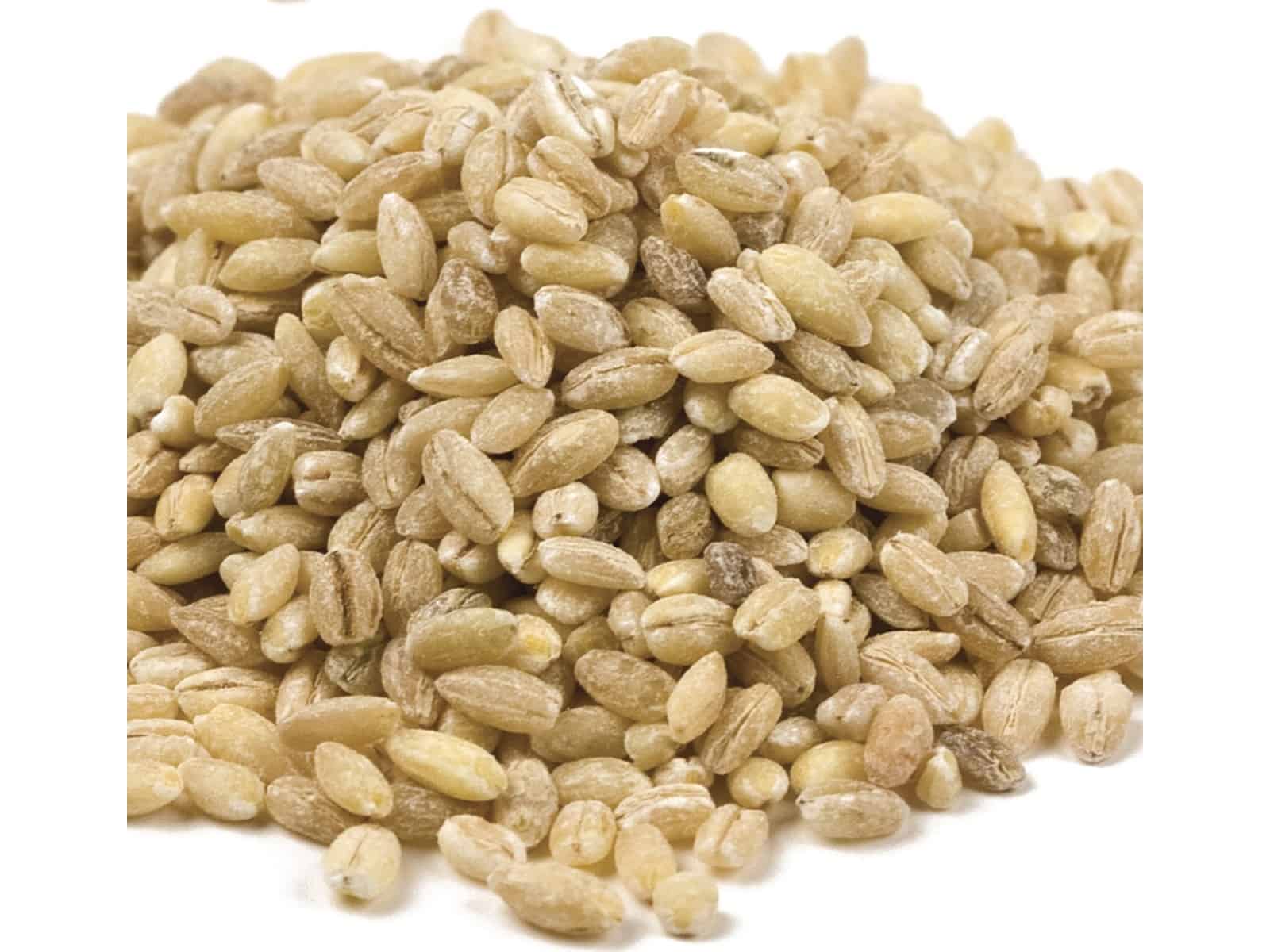 Pearled Barley | Bulk-Priced Food Shoppe